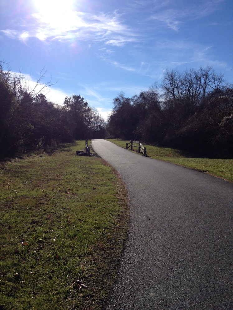 A return to the Cross Island Trail, but a different experience – She ...