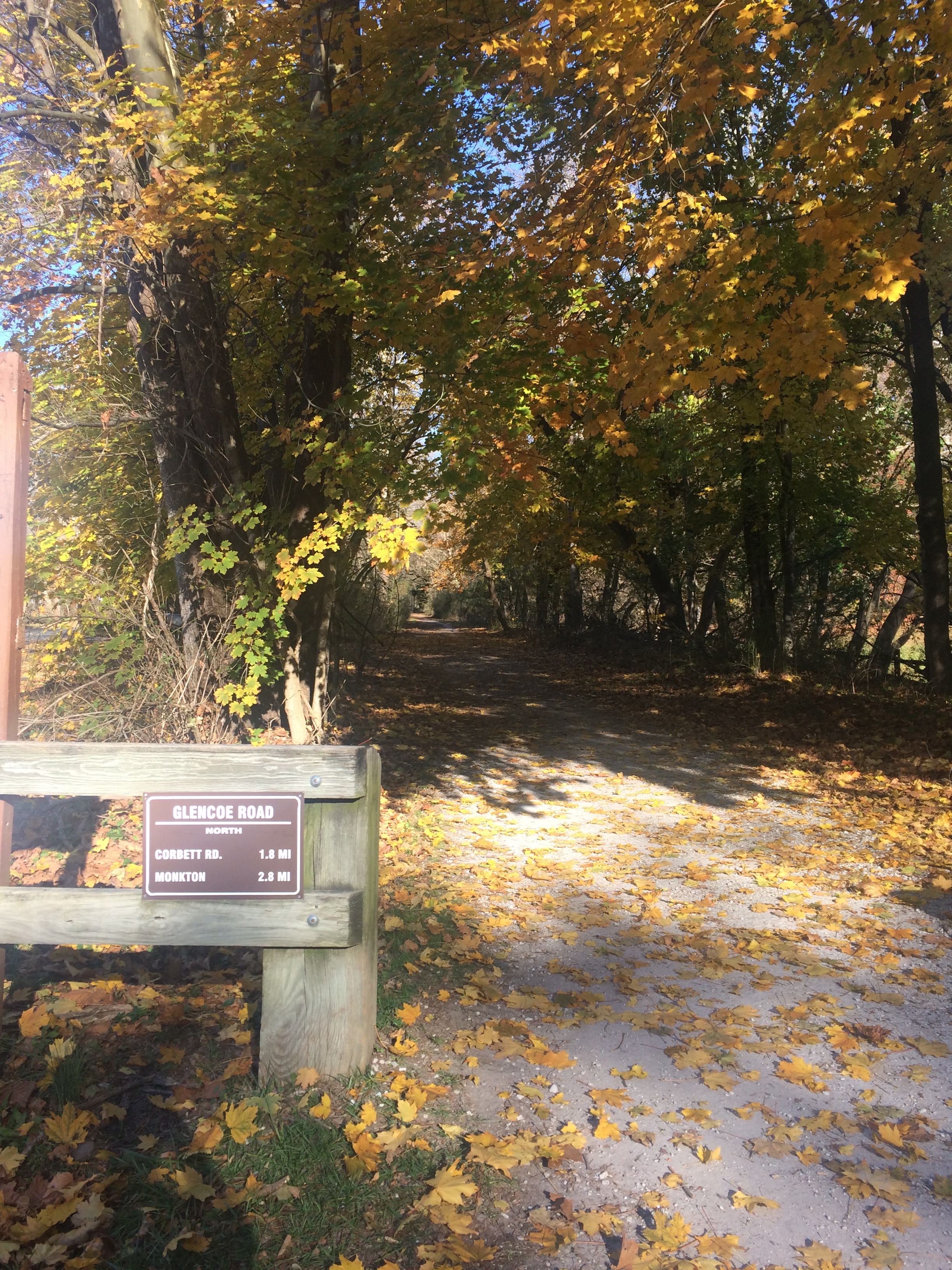 NCR Trail a scenic spot for a solo 16-miler – She Runs by the Seashore