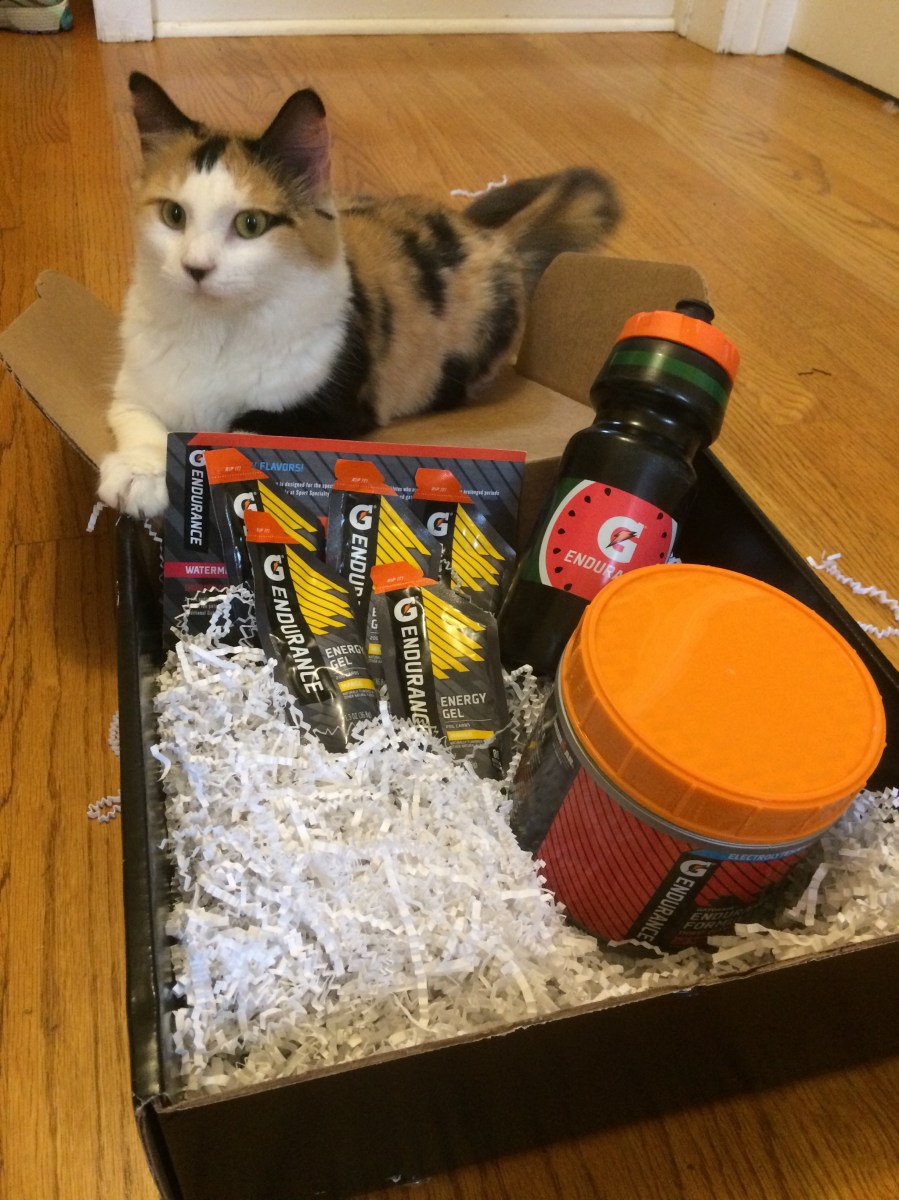 National Hydration Day: My review of Gatorade Endurance’s new formula ...