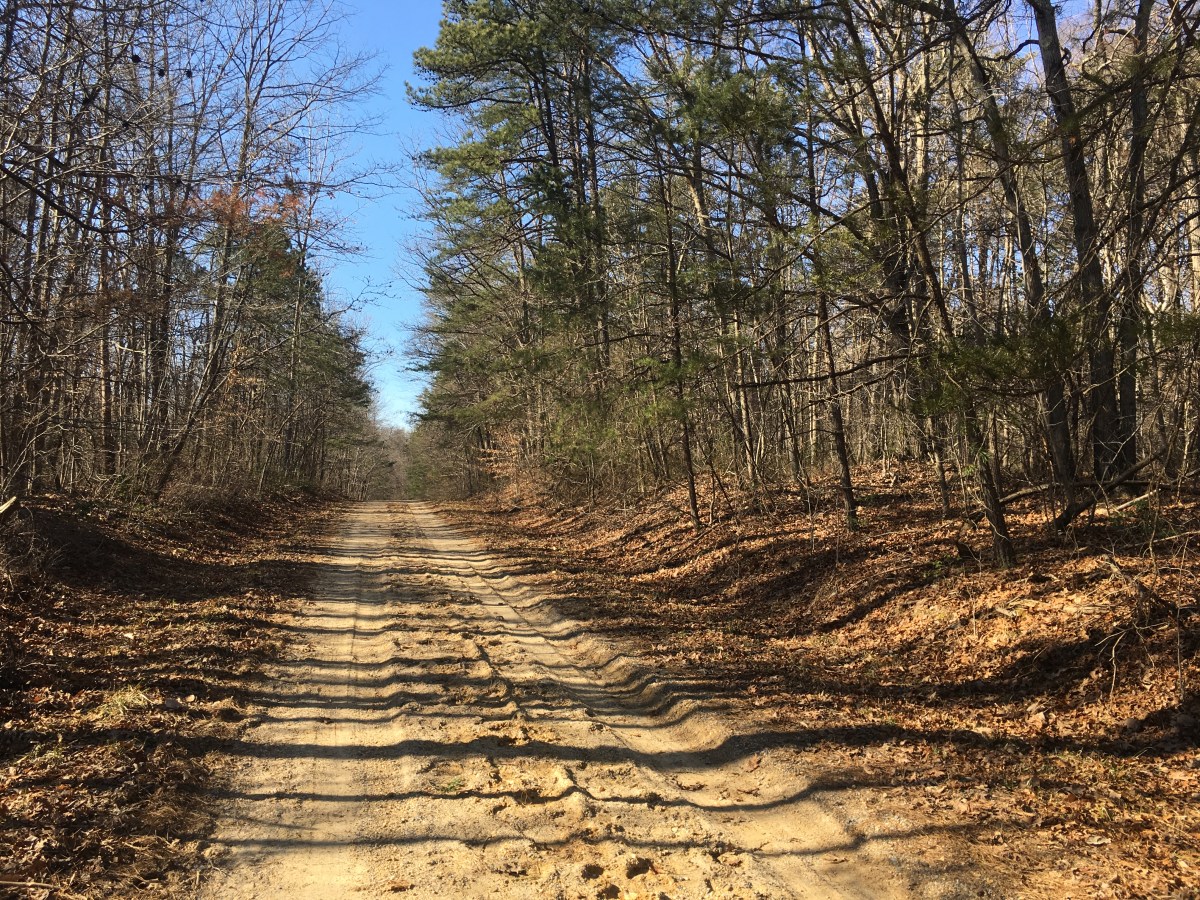 2019 Running Travels: The Patuxent Research Refuge North Tract – She ...